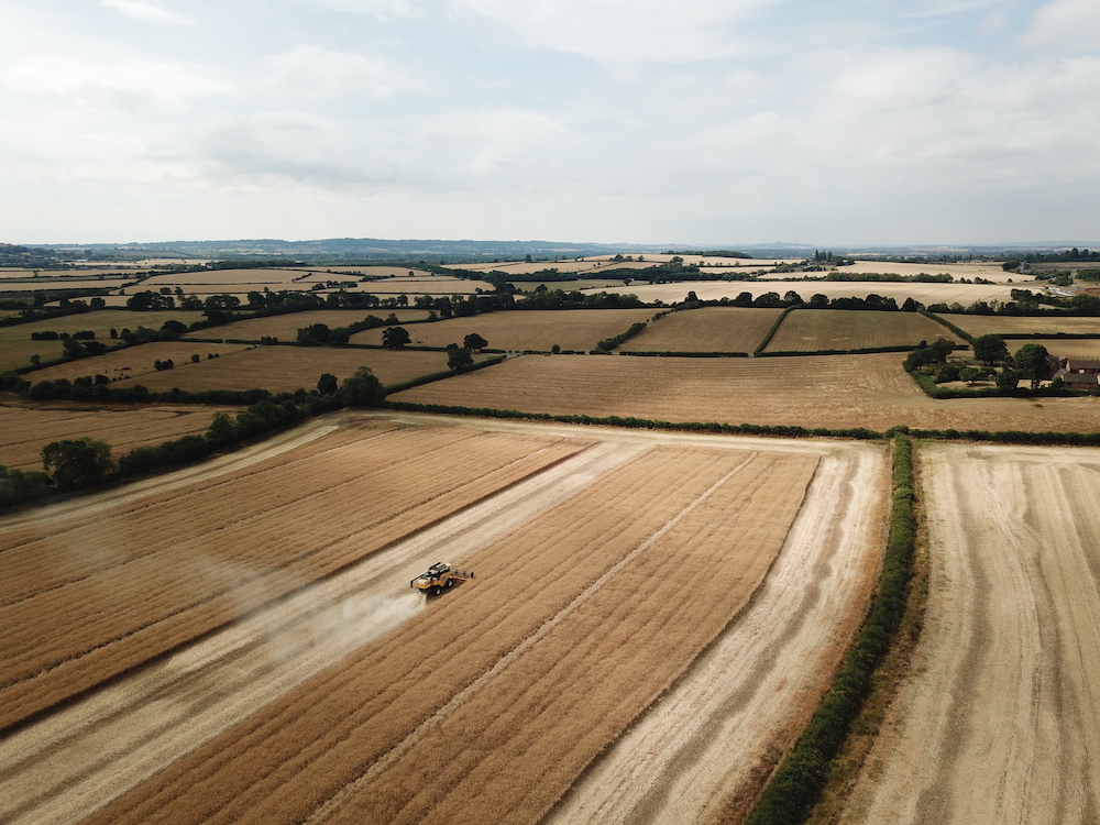 Farmland values expected to hold firm