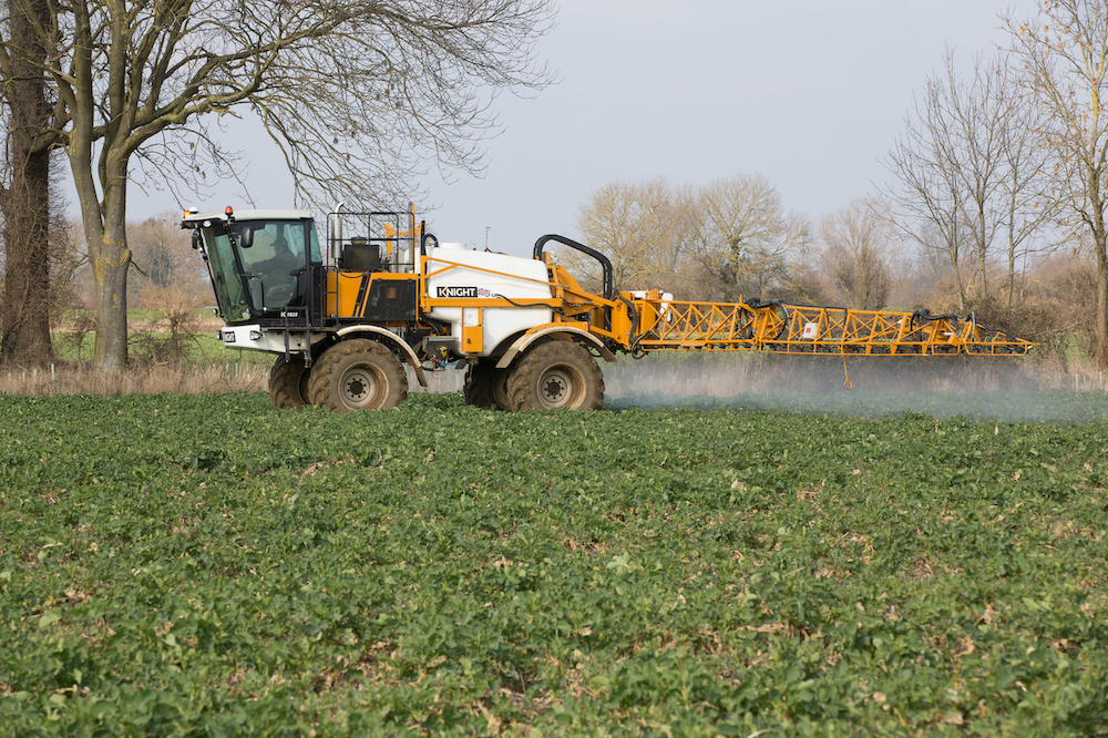 Autumn herbicide strategy for Irish farmers returning to oilseed rape