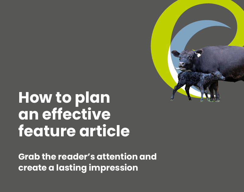 How to plan an effective feature article - Eve Communications